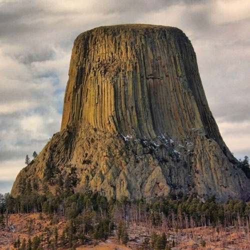 The mountains are giant trees of the golden times of the past.