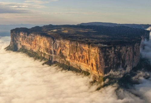 The mountains are giant trees of the golden times of the past.